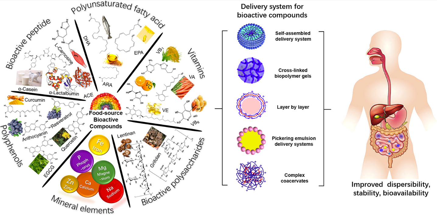🧪 Don’t Just Read the Ingredients List — What Brands Aren’t Telling You ...